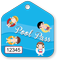 Pool Passes | Wristband Pool Passes | Pool Pass Tags